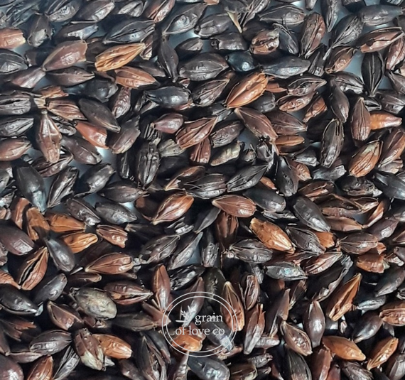 52 Reasons to Love Whole Grains - grain of love co