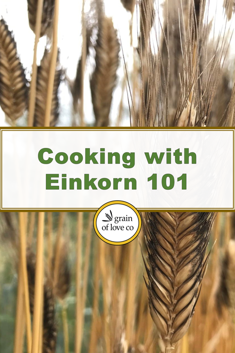 Cooking with Einkorn 101 - grain of love co