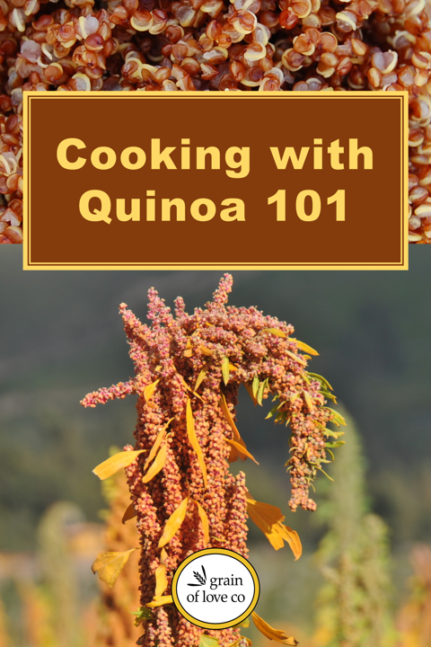 Cooking with Quinoa 101 - grain of love co