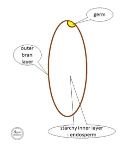 Cooking with Brown, Red or Black Rice 101 - grain of love co
