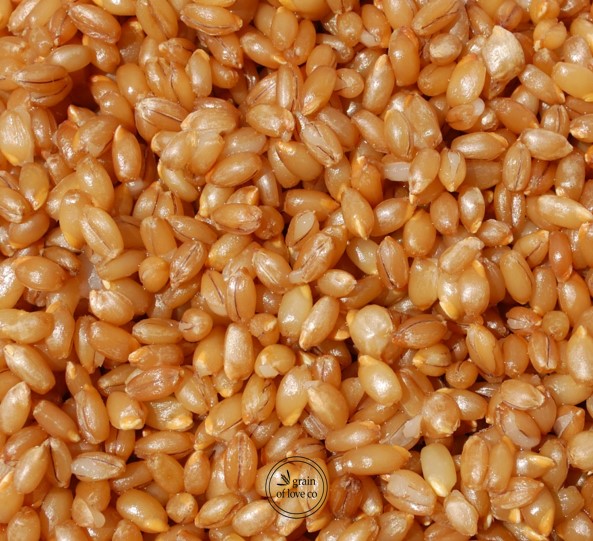 Cooking with Rye 101 - grain of love co