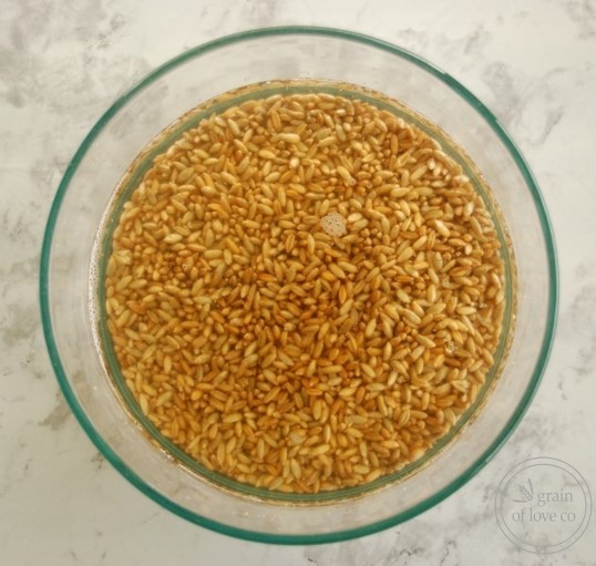 Cooking with Rye 101 - grain of love co