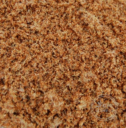Cooking with Teff 101 - grain of love co