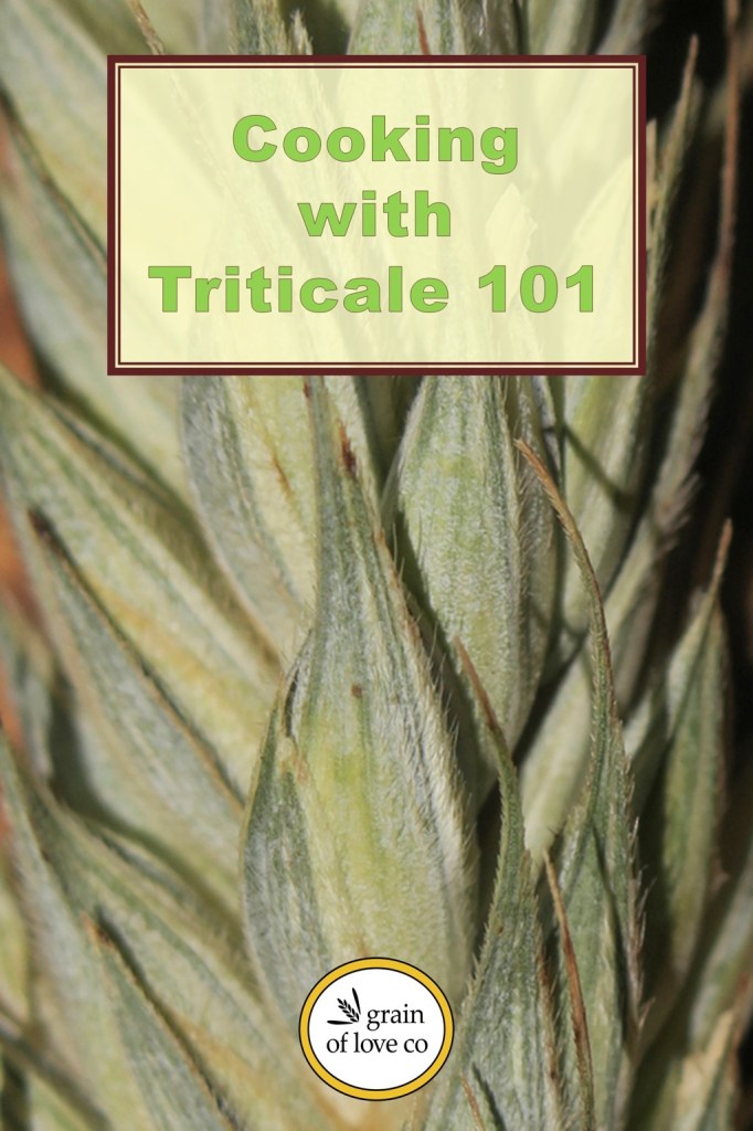 Cooking with Triticale 101 - grain of love co