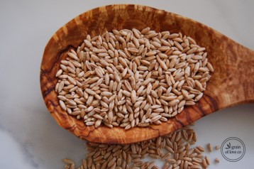 Cooking with Triticale 101 - grain of love co