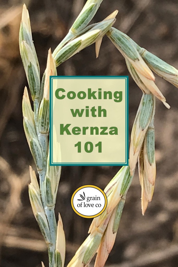 Cooking with Kernza 101 - grain of love co